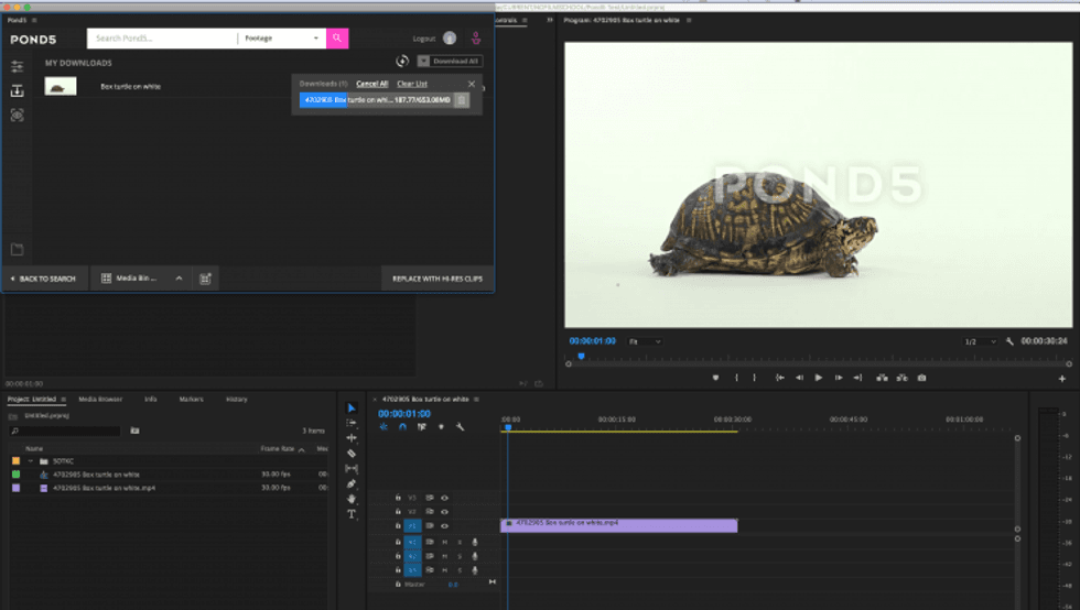Integrate Your Stock Footage Faster with New Pond5 Premiere Panel | No ...