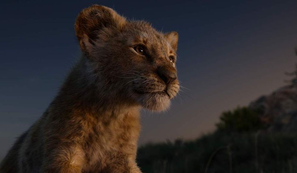 DP Caleb Deschanel Explains the High-Tech Process of Shooting 'The Lion ...