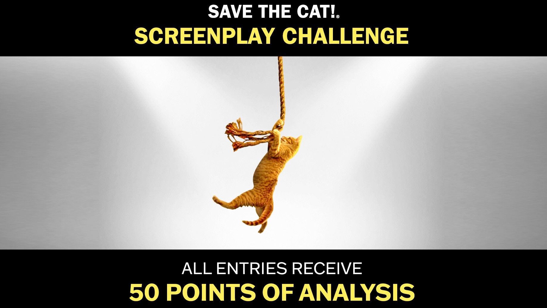 Save the Cat! Screenplay Challenge Grounds Writers in Structure, Not ...